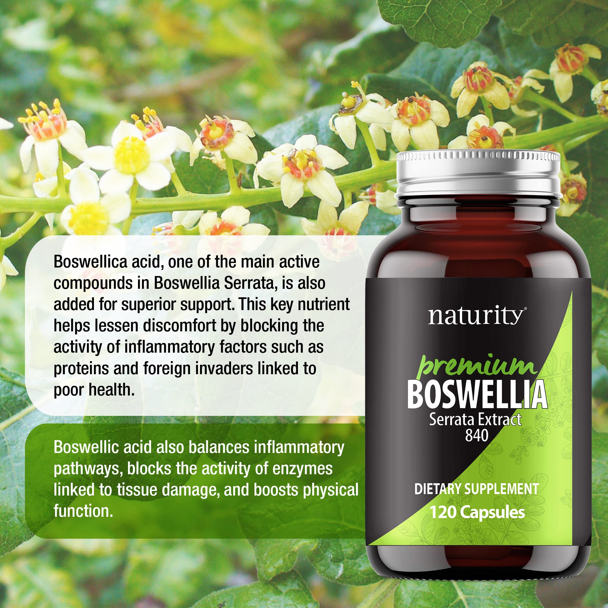 Naturity extract for respiratory support