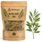 Naturyol olive leaf tea benefits