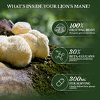 NatuX Lion's Mane for focus