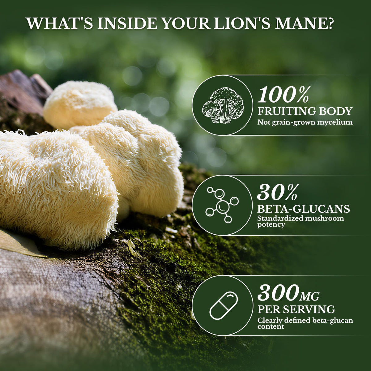 NatuX Lion's Mane for focus