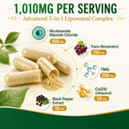 NBOOCUP antioxidants for cellular health
