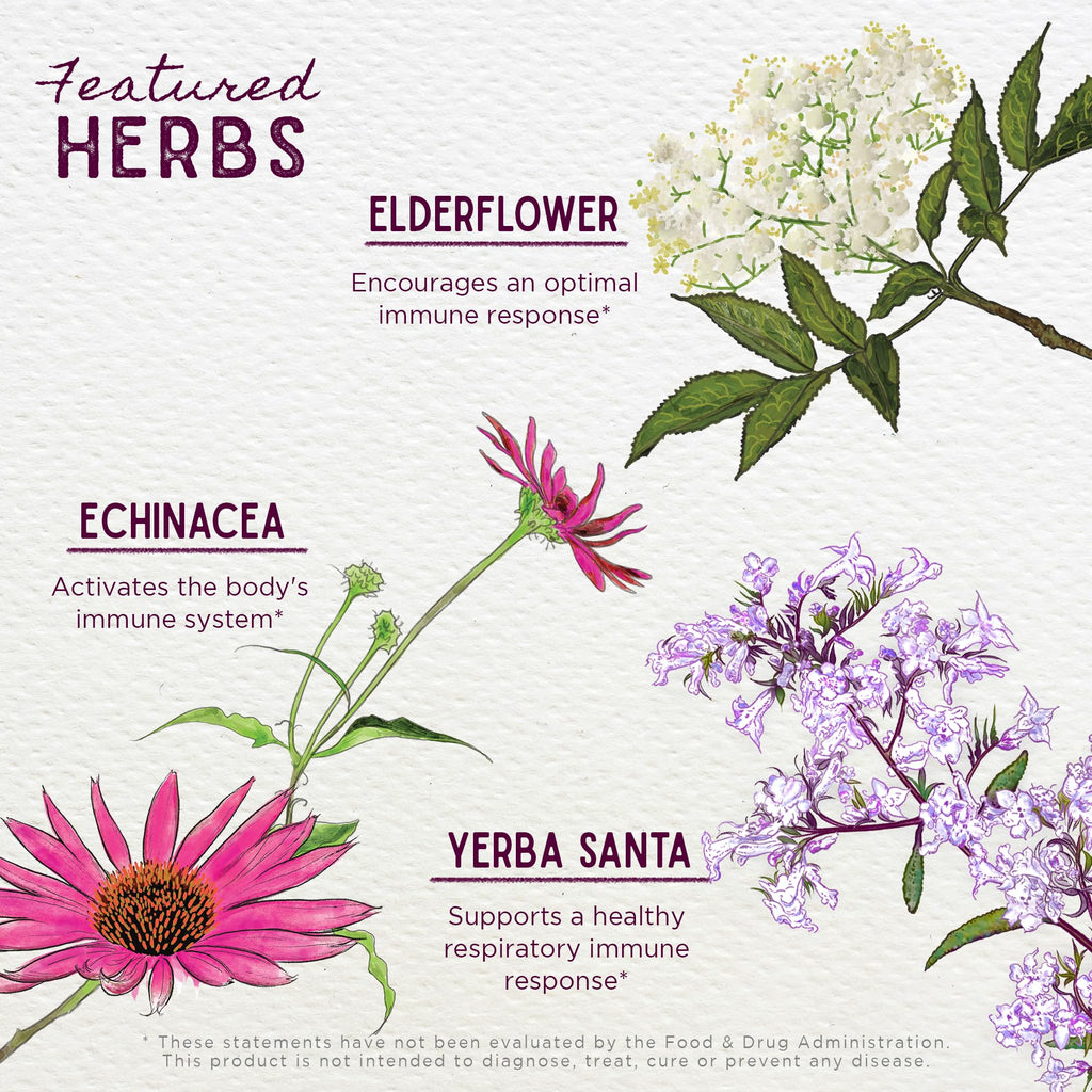 ND-formulated echinacea tincture