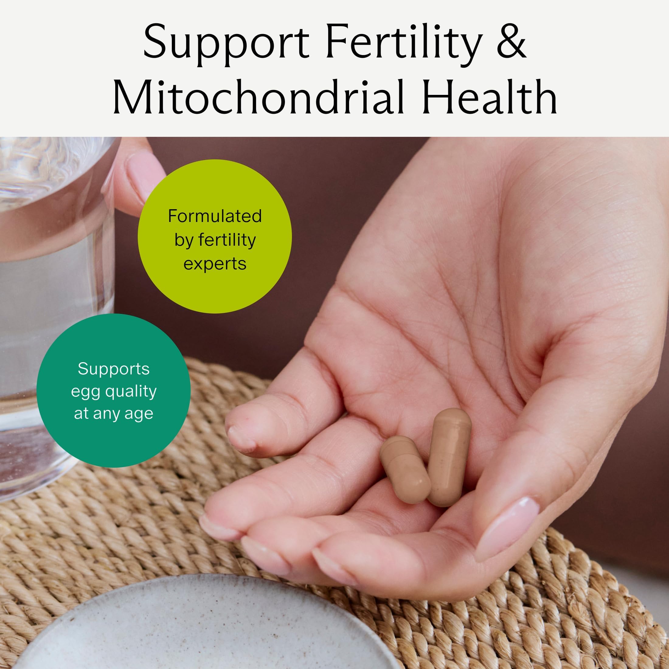 needed egg quality antioxidant supplement