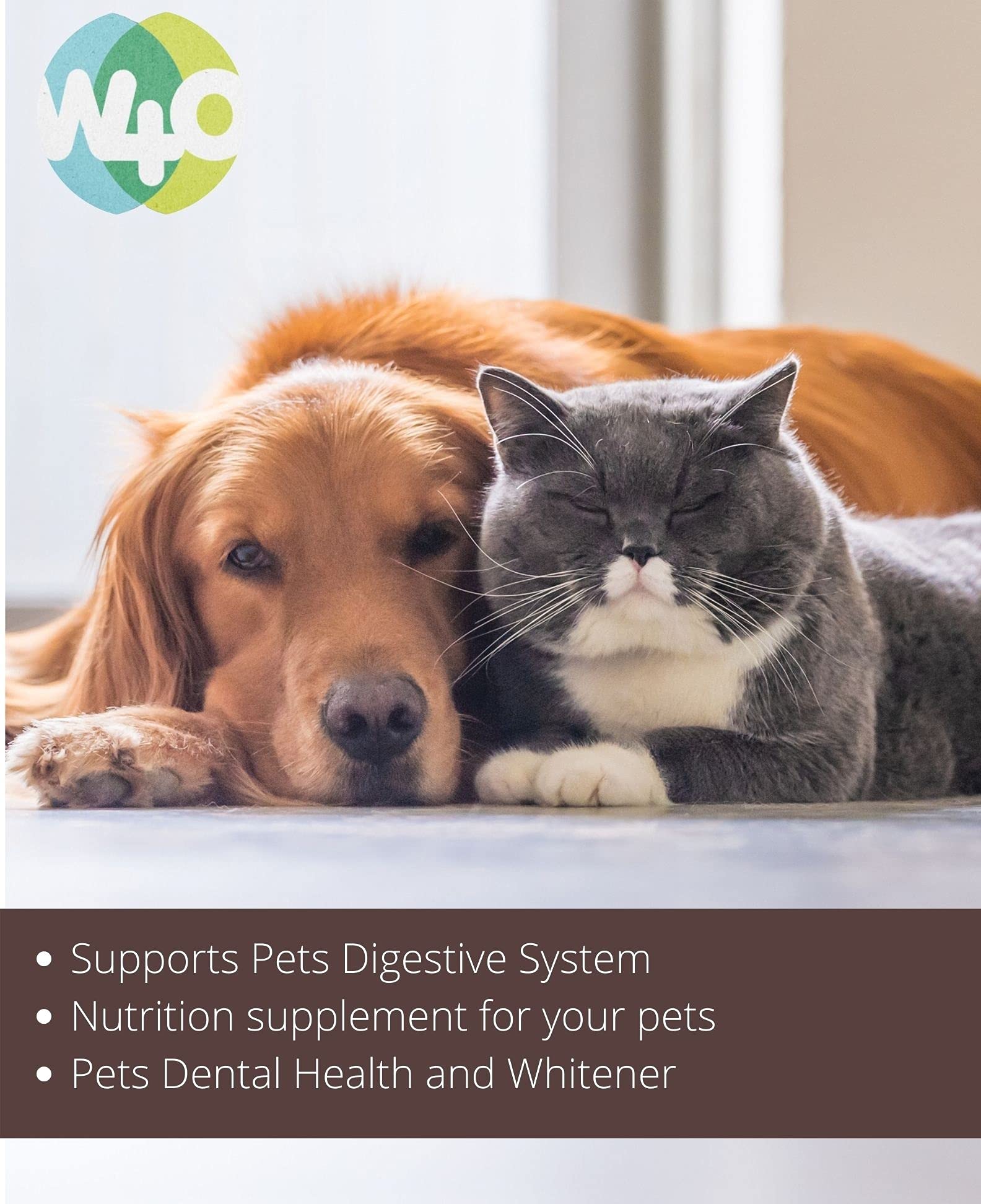 neem bark powder for overall wellness
