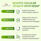 Neem capsules for detoxification