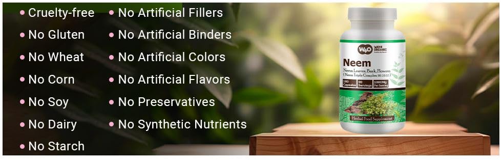neem capsules for holistic health solutions
