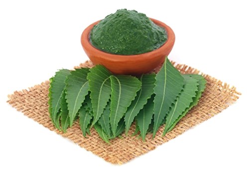 neem herbal powder for skin rejuvenation