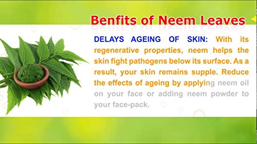 neem herbal supplement for daily use
