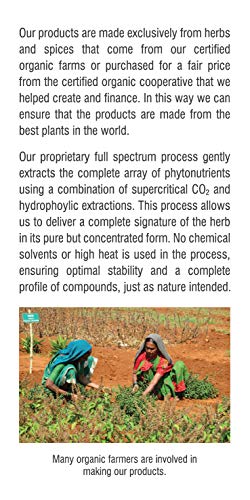 neem leaf capsules for daily use