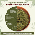 neem leaf tea for wellness