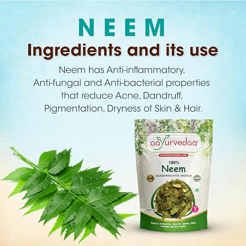 neem leaves for holistic healing
