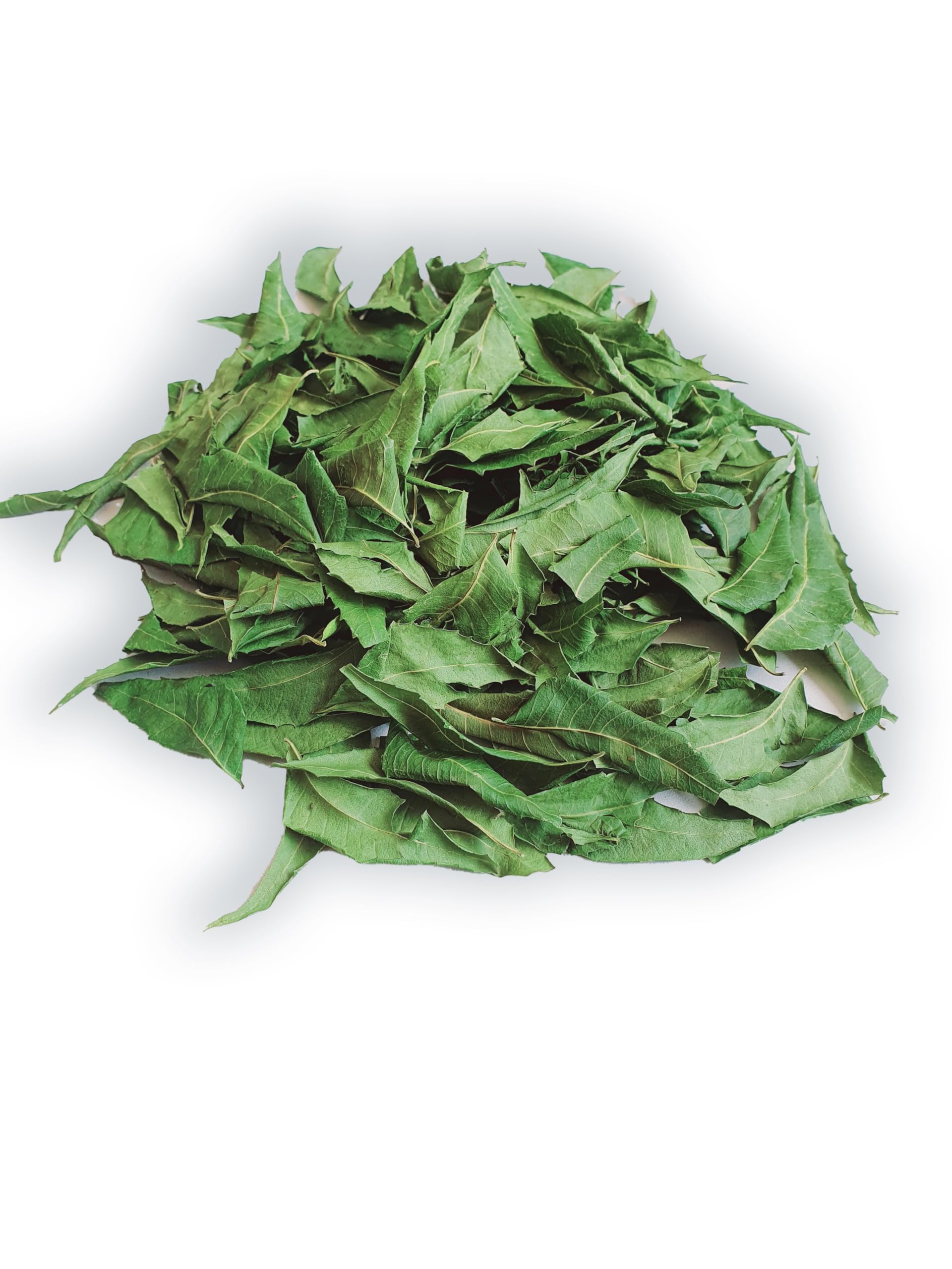 neem leaves for holistic health