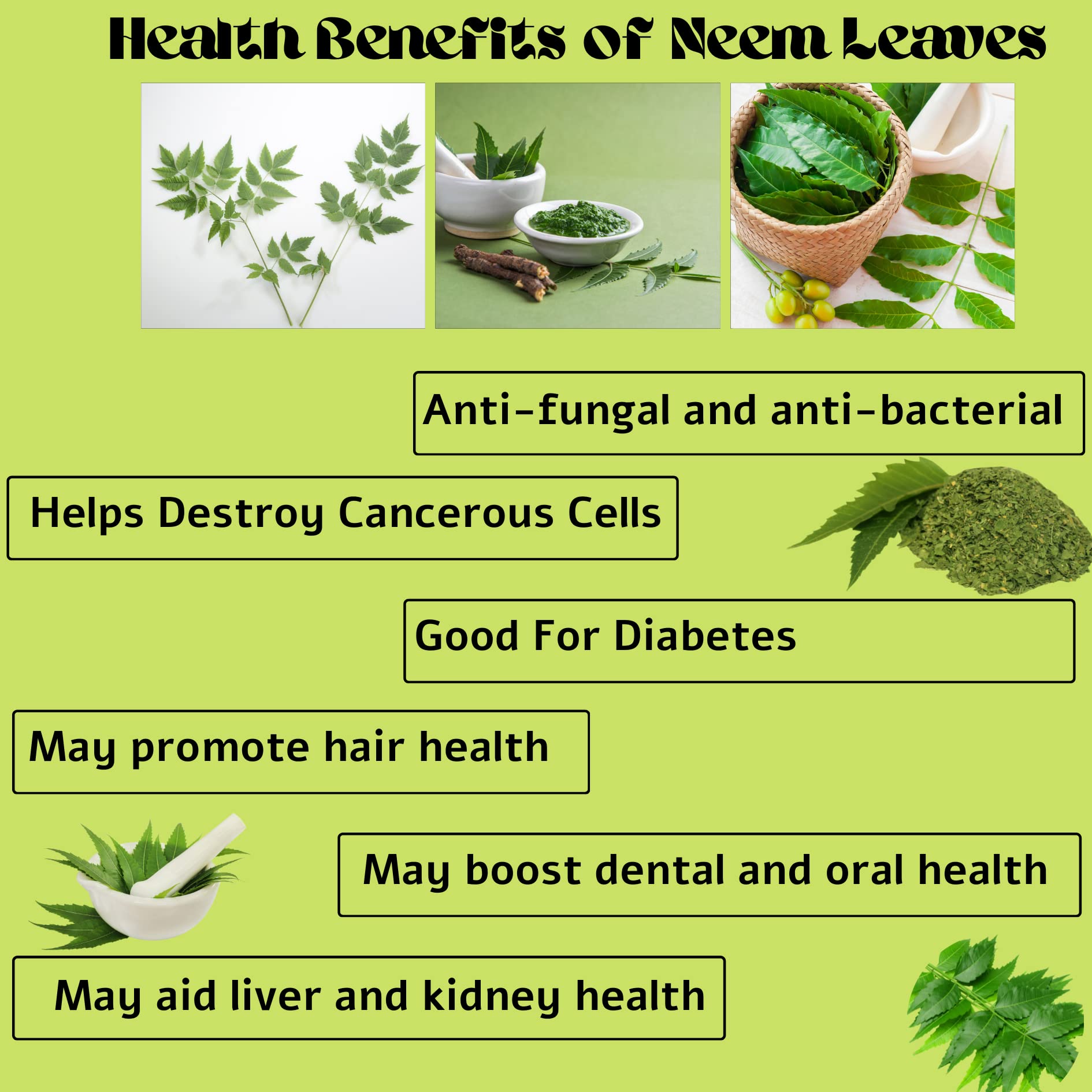 neem leaves for natural wellness