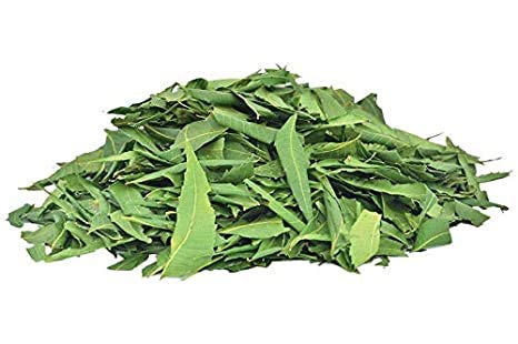 neem leaves for skin health