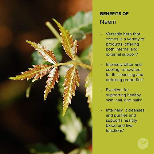 Neem leaves powder for immune support
