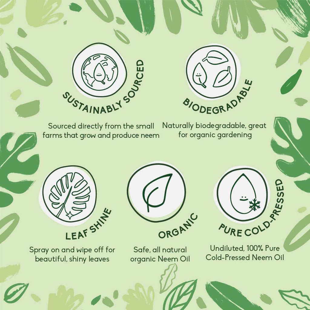 neem oil for eczema relief