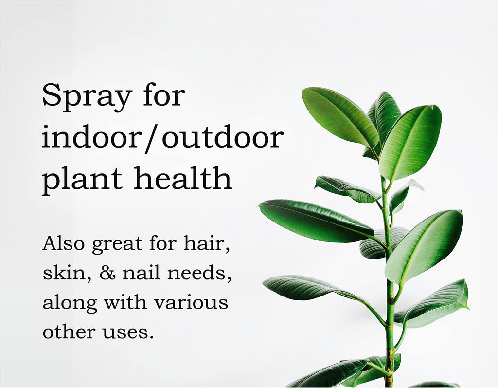 neem oil for hair care