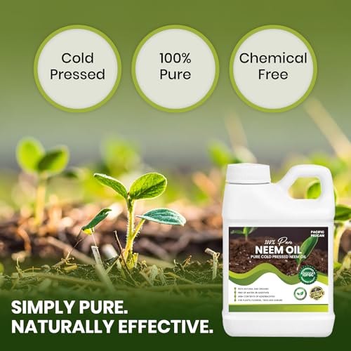neem oil for holistic health