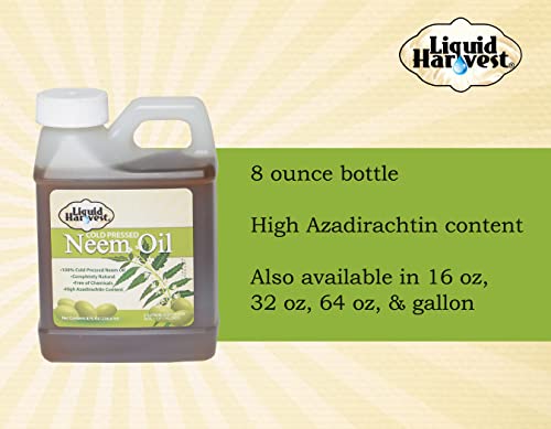 neem oil for holistic health
