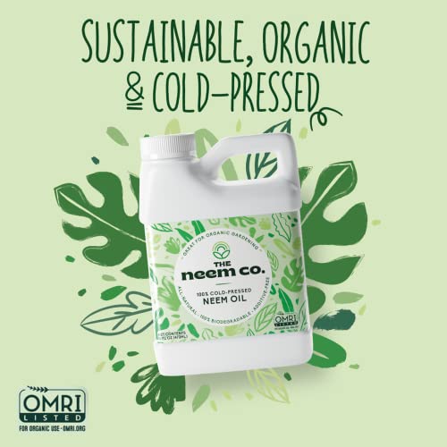 neem oil for holistic wellness