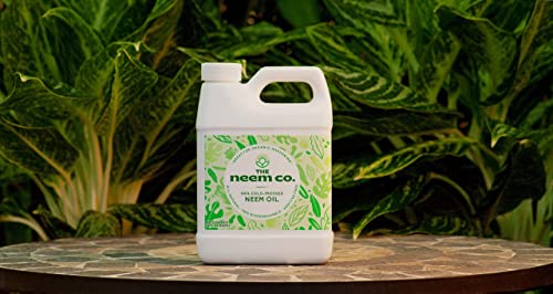 neem oil for moisturizing skin