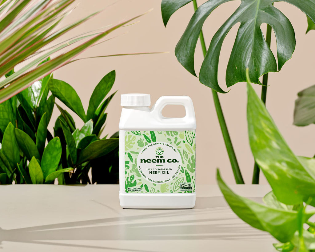 neem oil for skin care