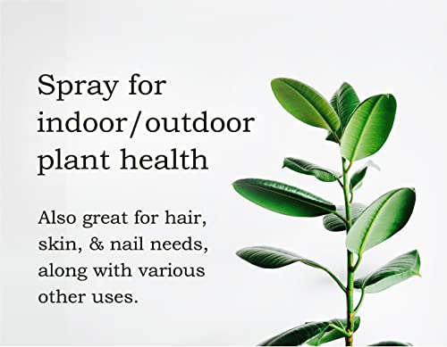 neem oil for skin health