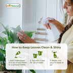 Neem oil for skin health