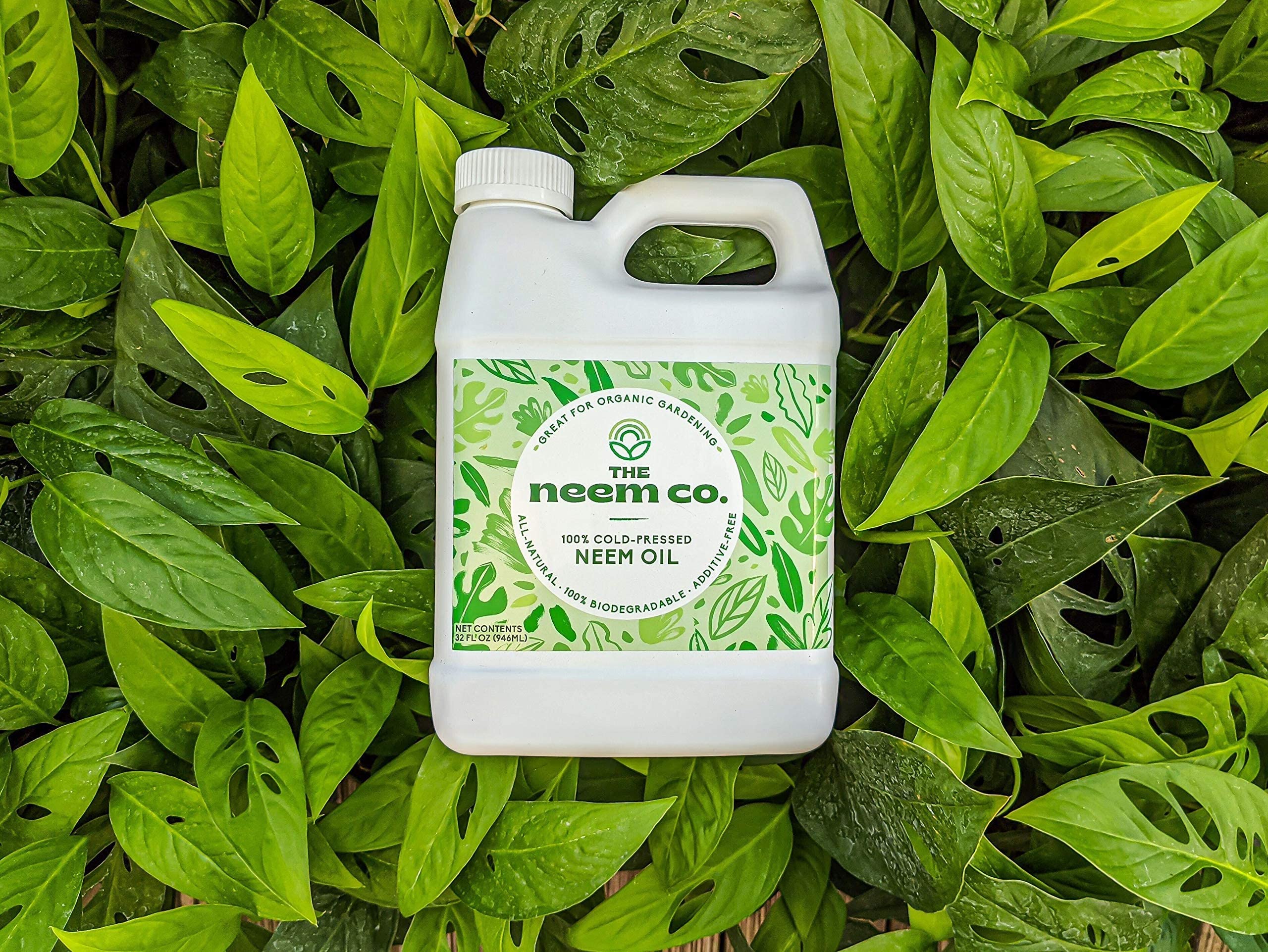neem oil for soothing irritation