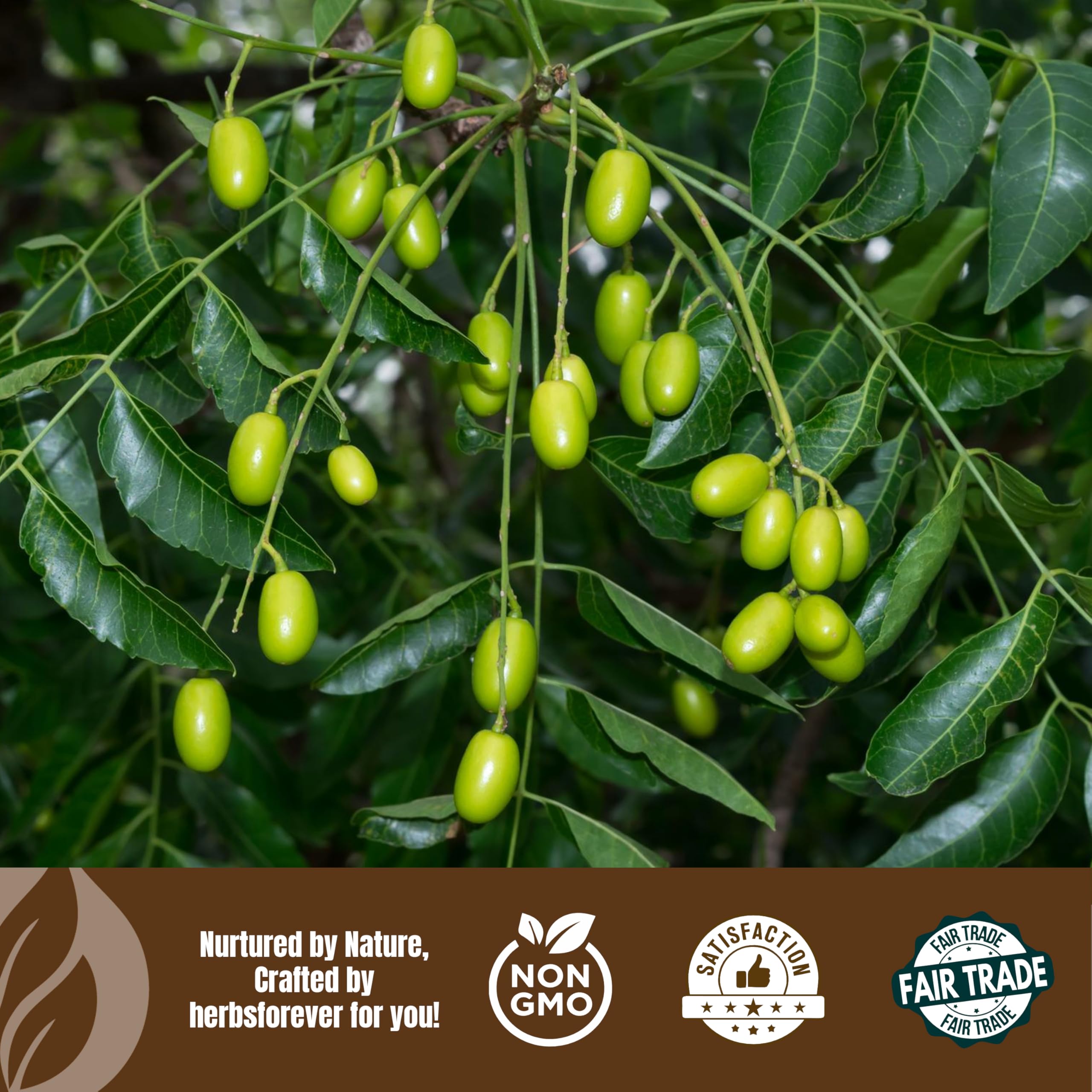 Neem oil for soothing skin