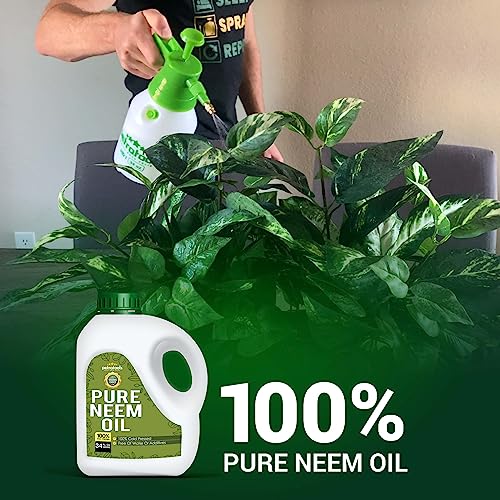 neem oil pest control solution