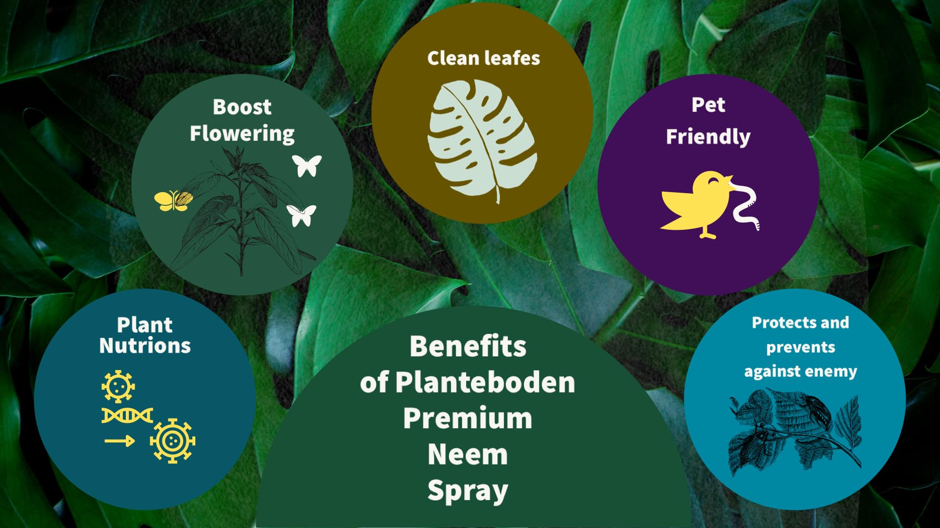 neem oil spray for gardening