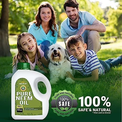 neem oil spray for plant health