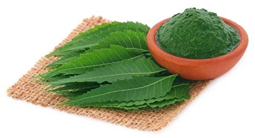 neem powder benefits for skin health