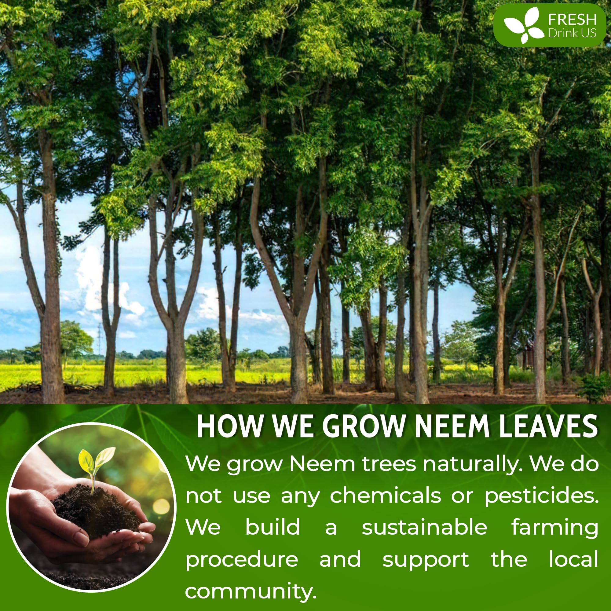 neem powder benefits for skin