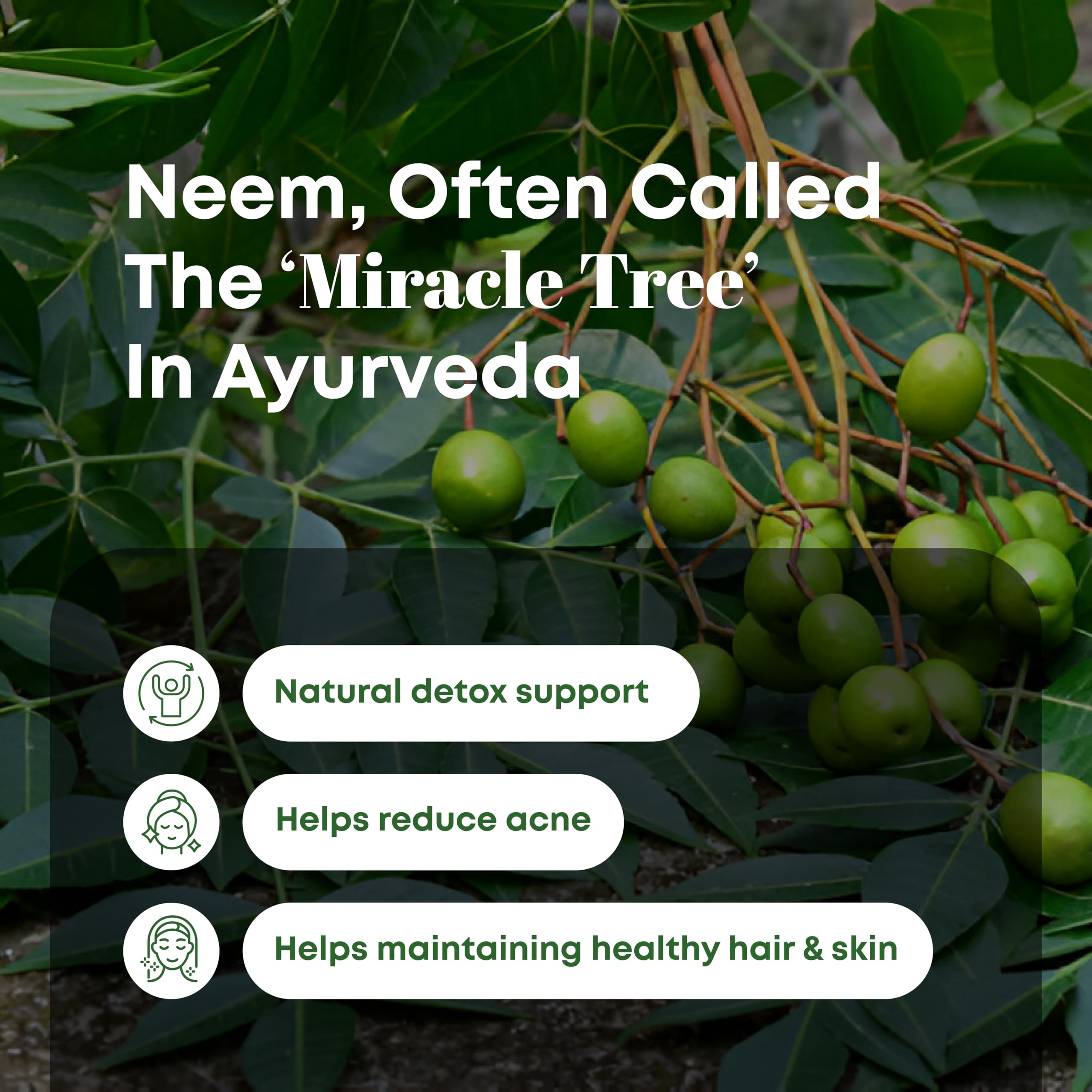 neem powder for acne treatment