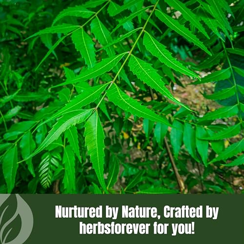 neem powder for blemish control