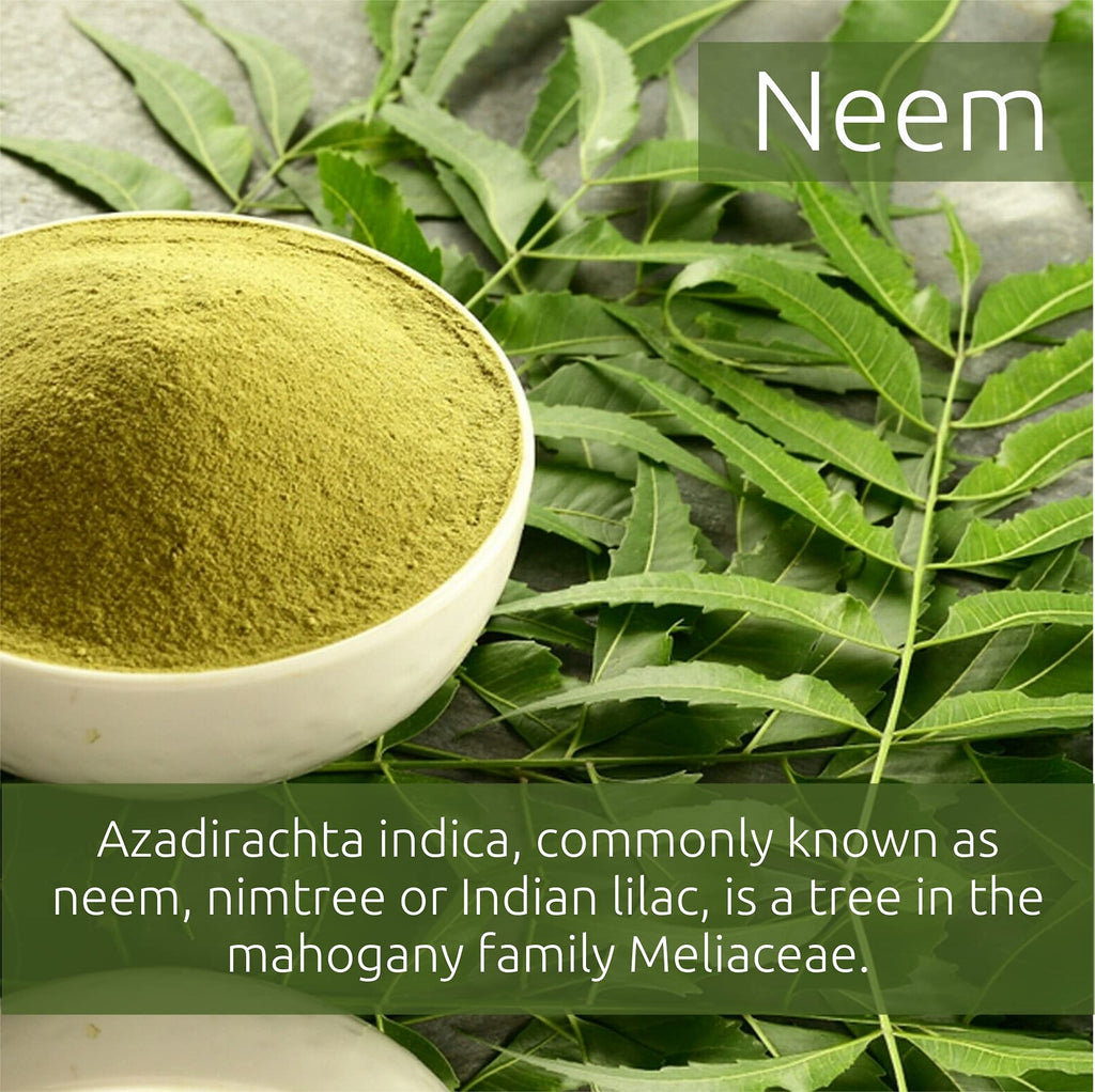 neem powder for daily wellness