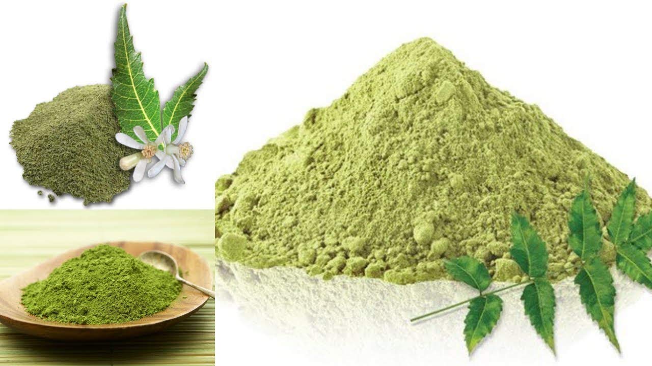neem powder for digestive health