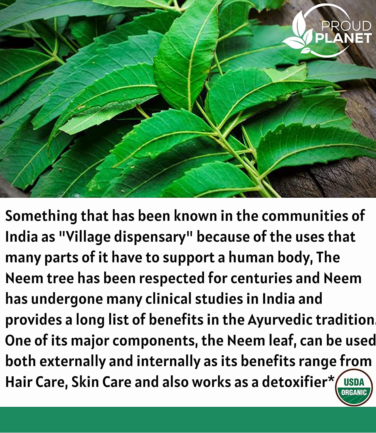 neem powder for hair care