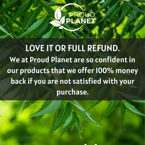 neem powder for holistic health