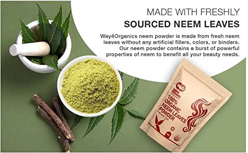 neem powder for natural healing
