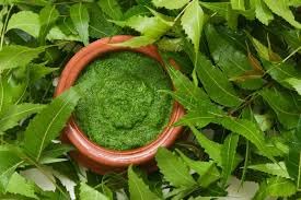 neem powder for skin rejuvenation
