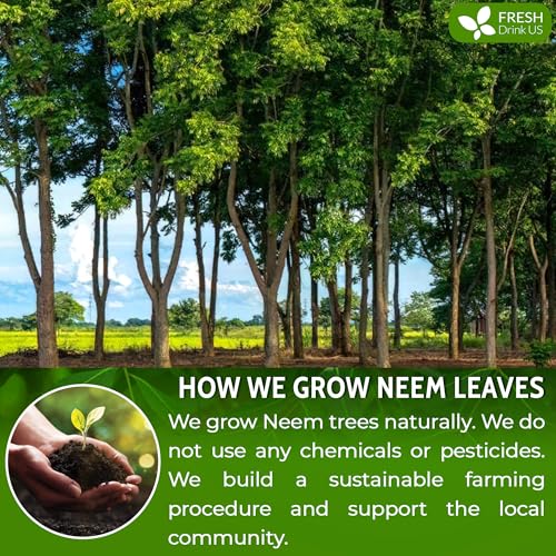 neem powder for skin rejuvenation