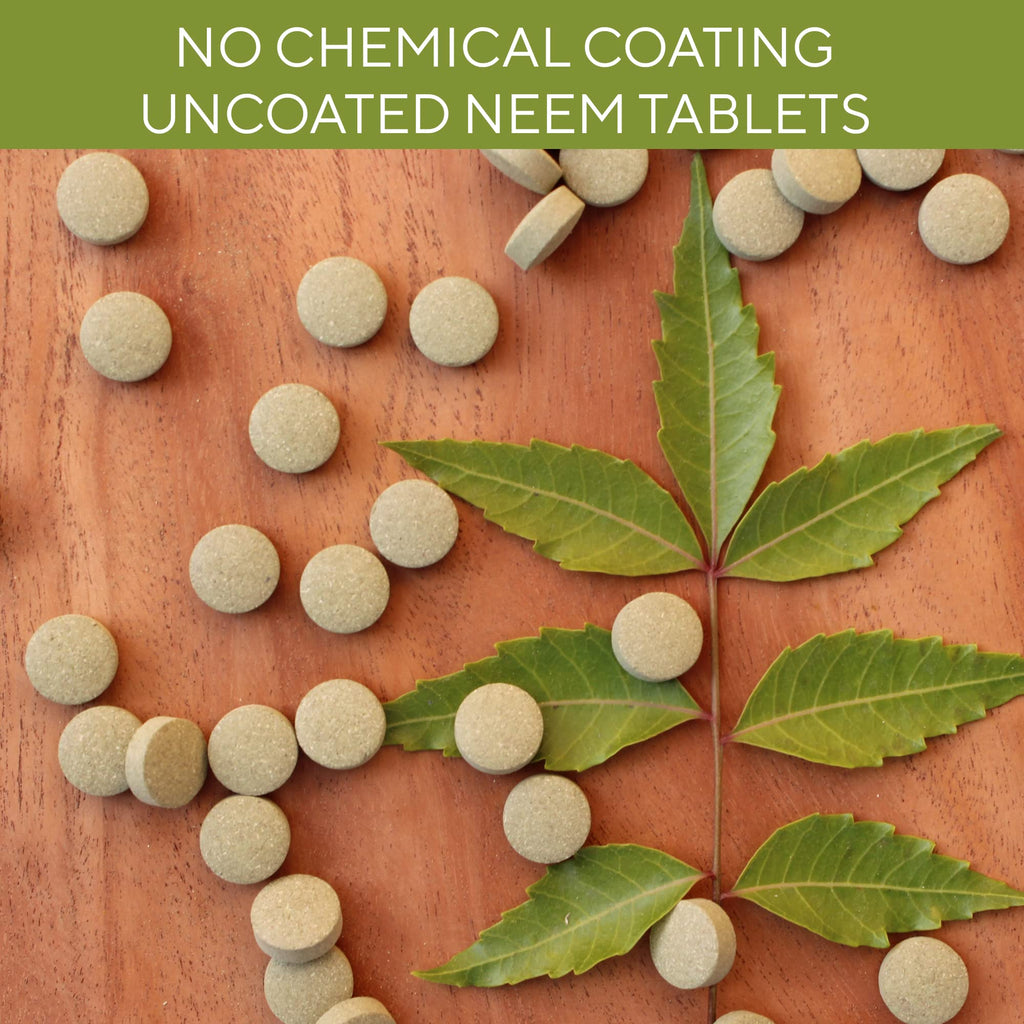 neem supplement for immune support