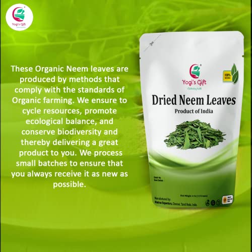 neem tea for digestive support