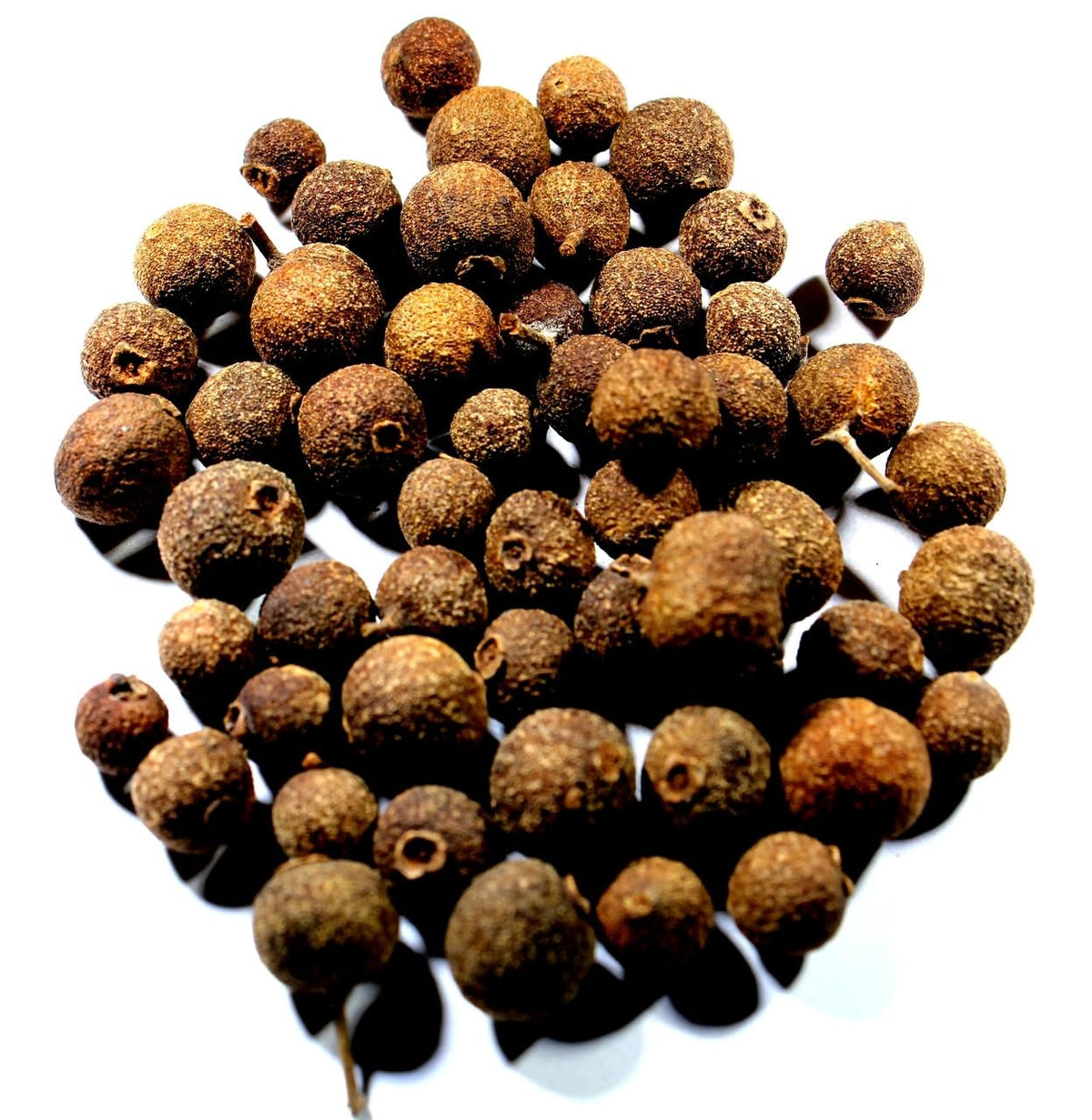 Nelson's Tea allspice berries herbal infusion