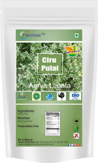 Neotea Aerva Lanata herbal powder