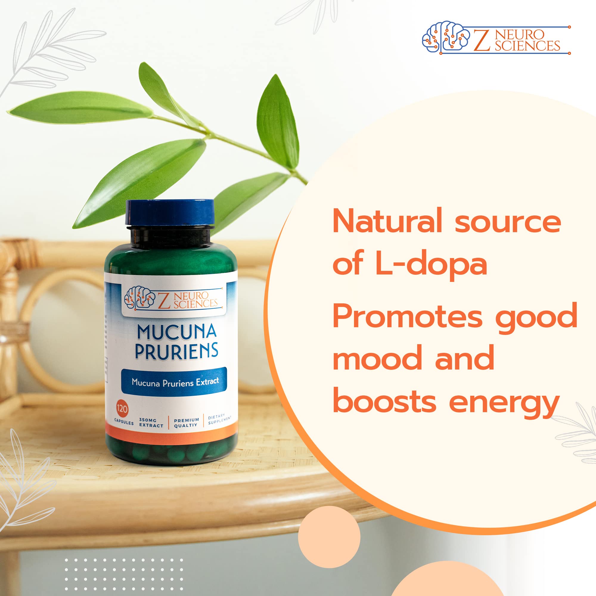 Nerve health support Mucuna Pruriens
