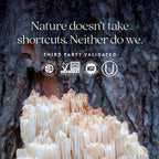 Nerve health with vitamin B